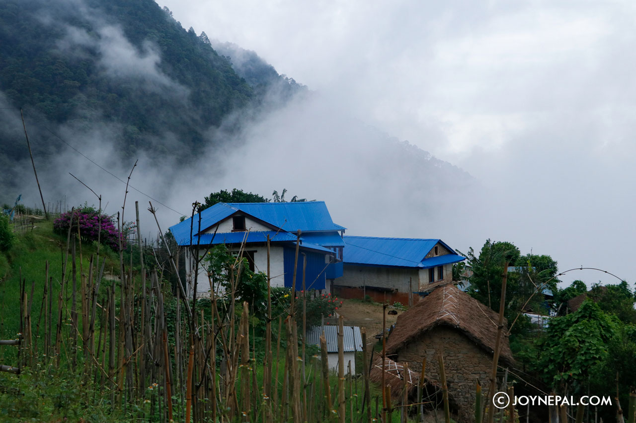 आजको मौसम: तराईमा हुस्सु, हिमाली भेगमा आंशिक बदली - Joy Nepal Joy Nepal